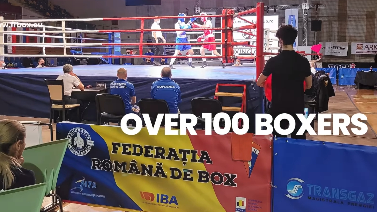 Finalele turneului Centura Moldovei la box, live la TVR Sport | TVR.RO